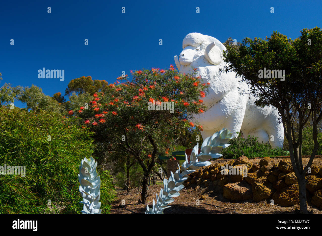 The Big Ram, Wagin Western Australia Stock Photo - Alamy