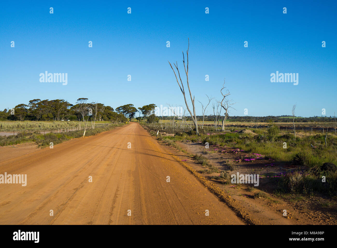 straight dirt road through rural landscape Stock Photo - Alamy