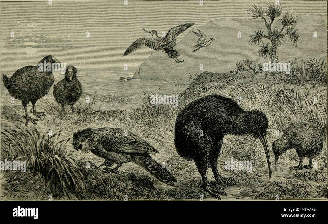 This 1876 work examines the geographical distribution of animals ...