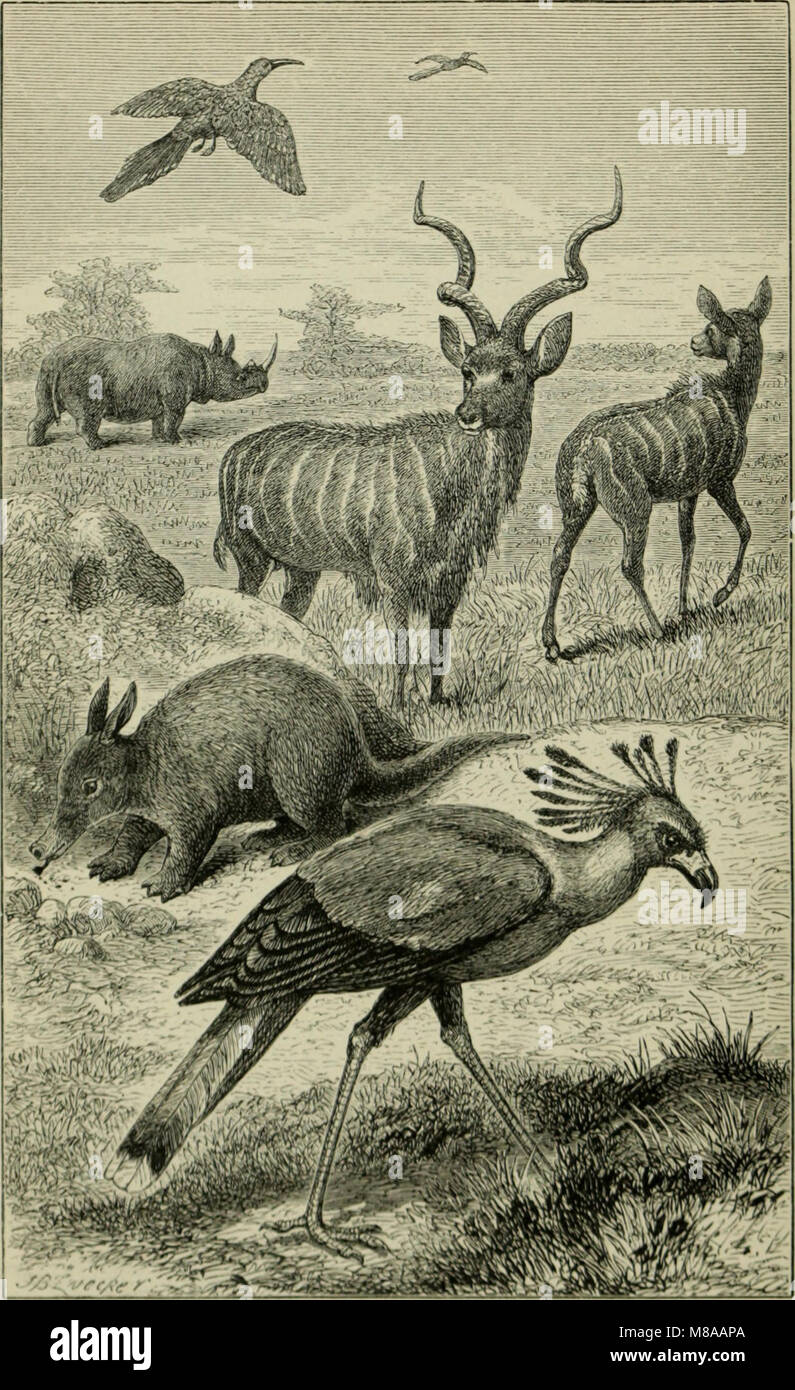 This 1876 study explores the geographical distribution of animals ...