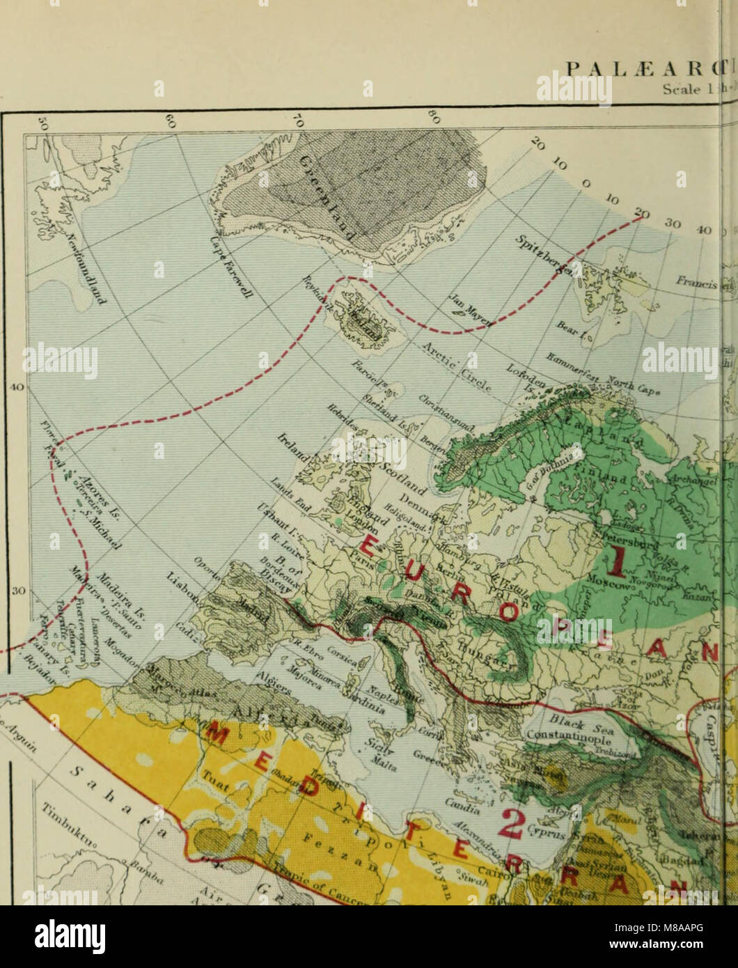 'Geographical Distribution of Animals' (1876) examines the patterns of ...