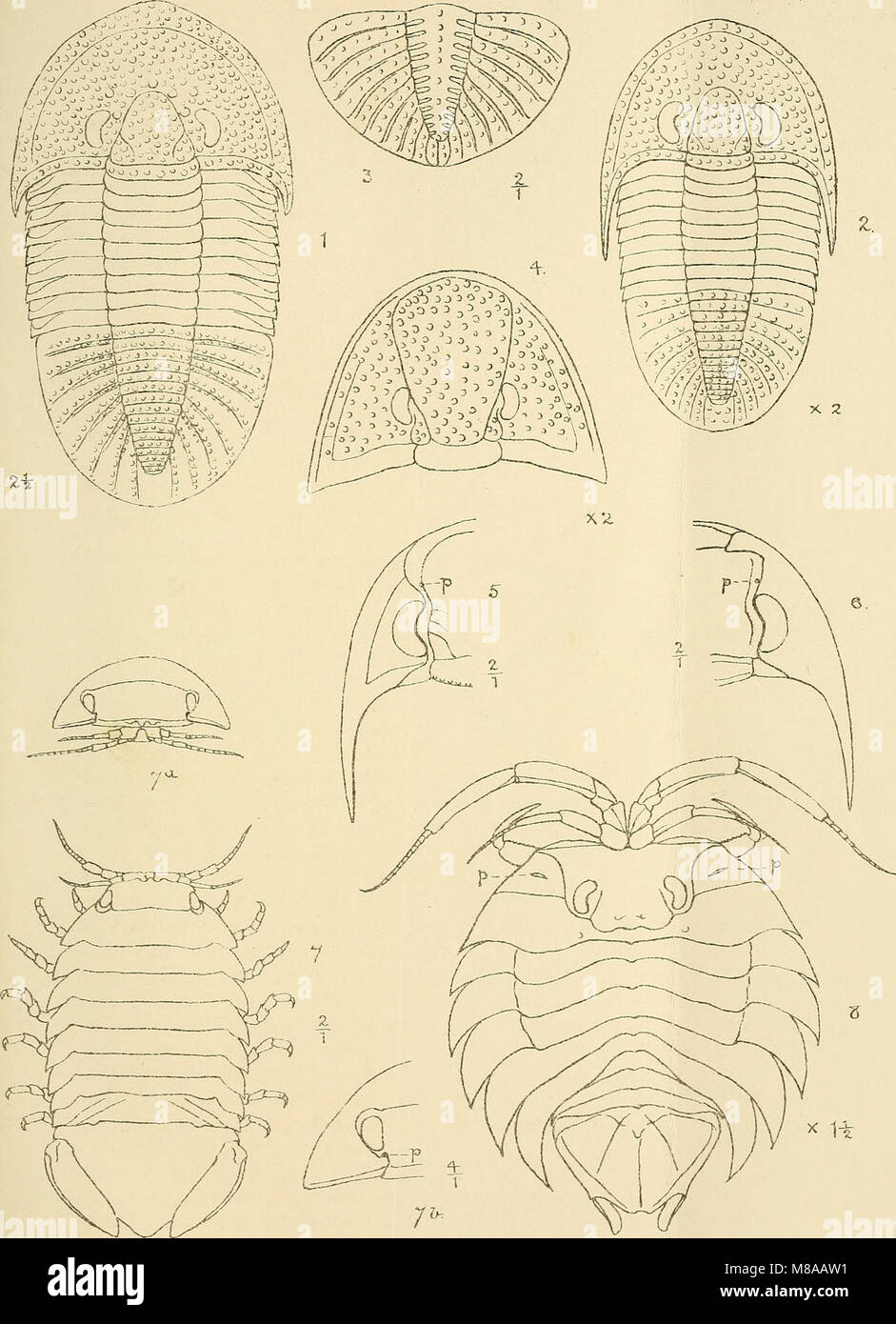 The 'Geological Magazine' (1883) covers the latest geological findings ...