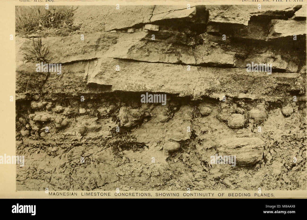 The Geological Magazine from 1891 features research on various ...