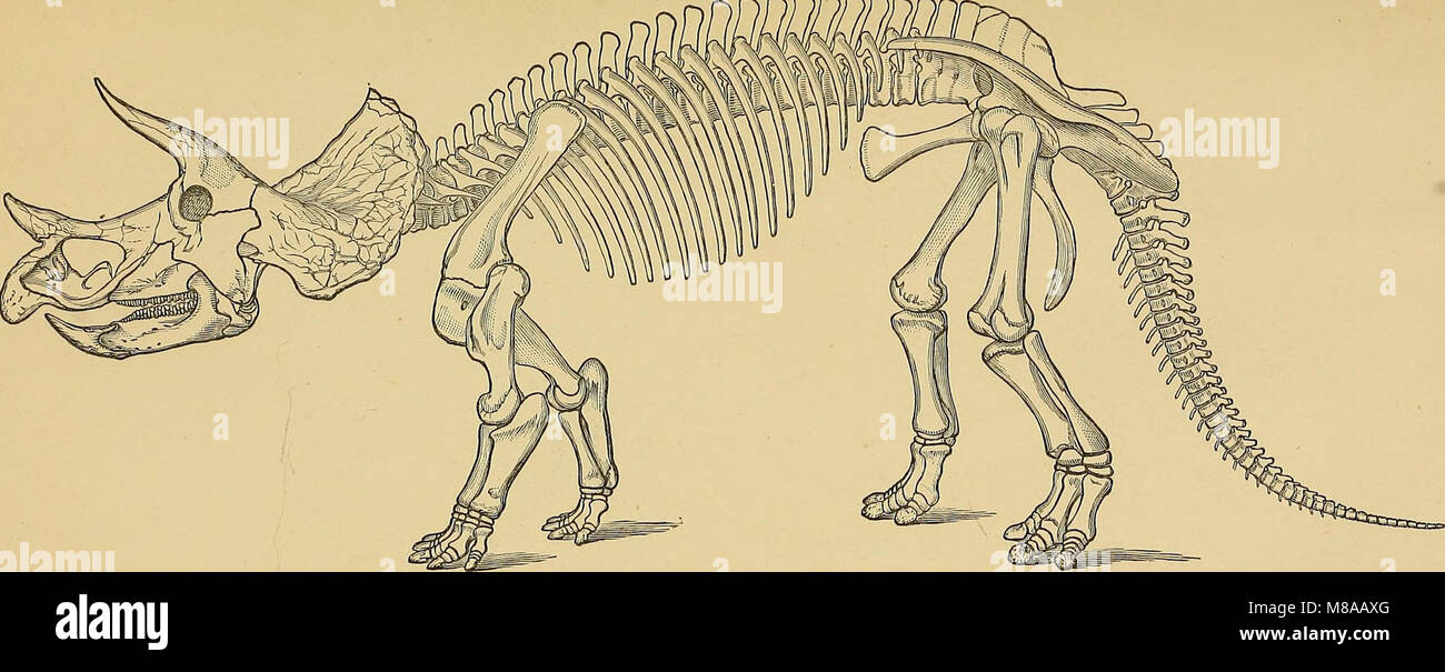 The *Geological Magazine* (1891) is a scientific journal featuring ...