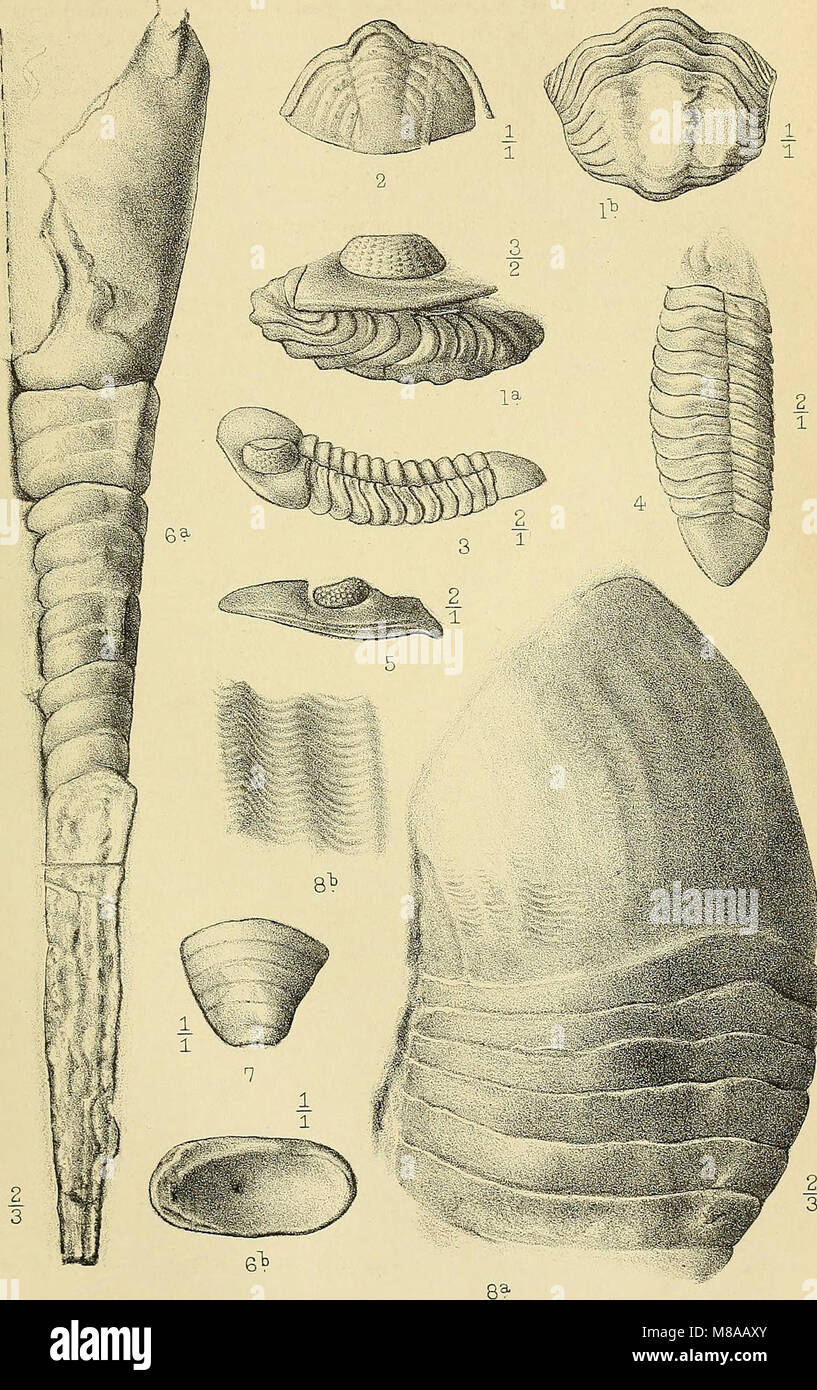 The 1905 Geological Magazine provides scientific research on geology ...