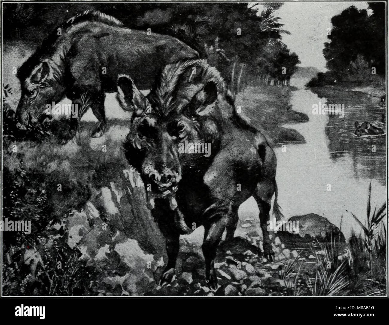 The 1907 work on geology explores the Earth's structure, processes, and ...