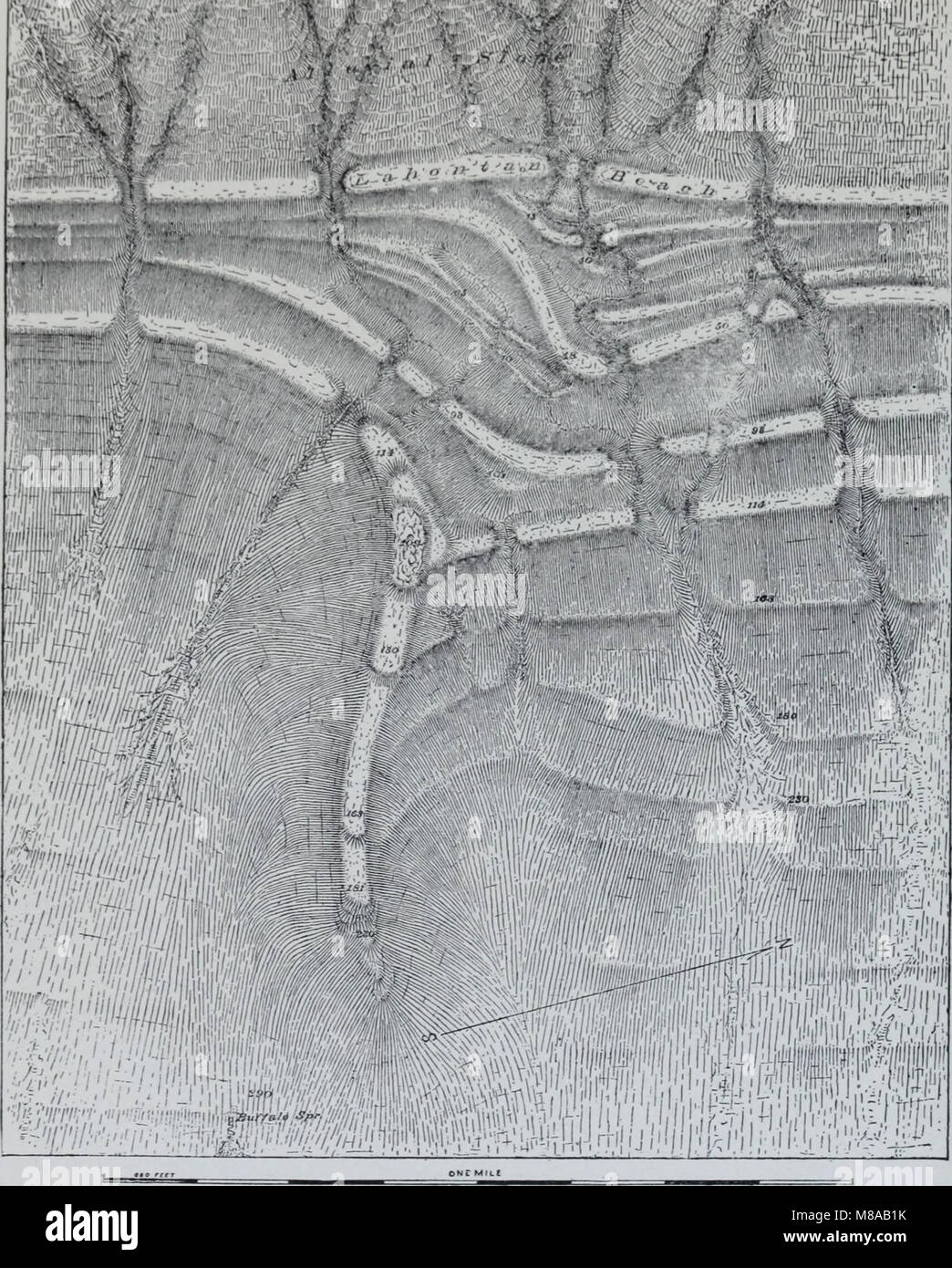 This 1907 geological study examines the Earthâ€™s structure, including ...