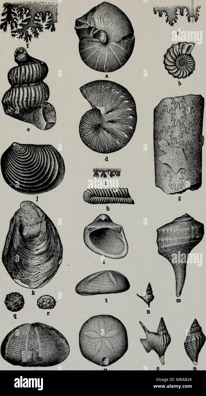 This 1907 book on geology covers various topics including rock ...
