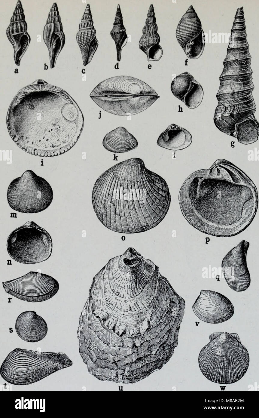 'Geology' (1907) provides a comprehensive study of the Earth's ...