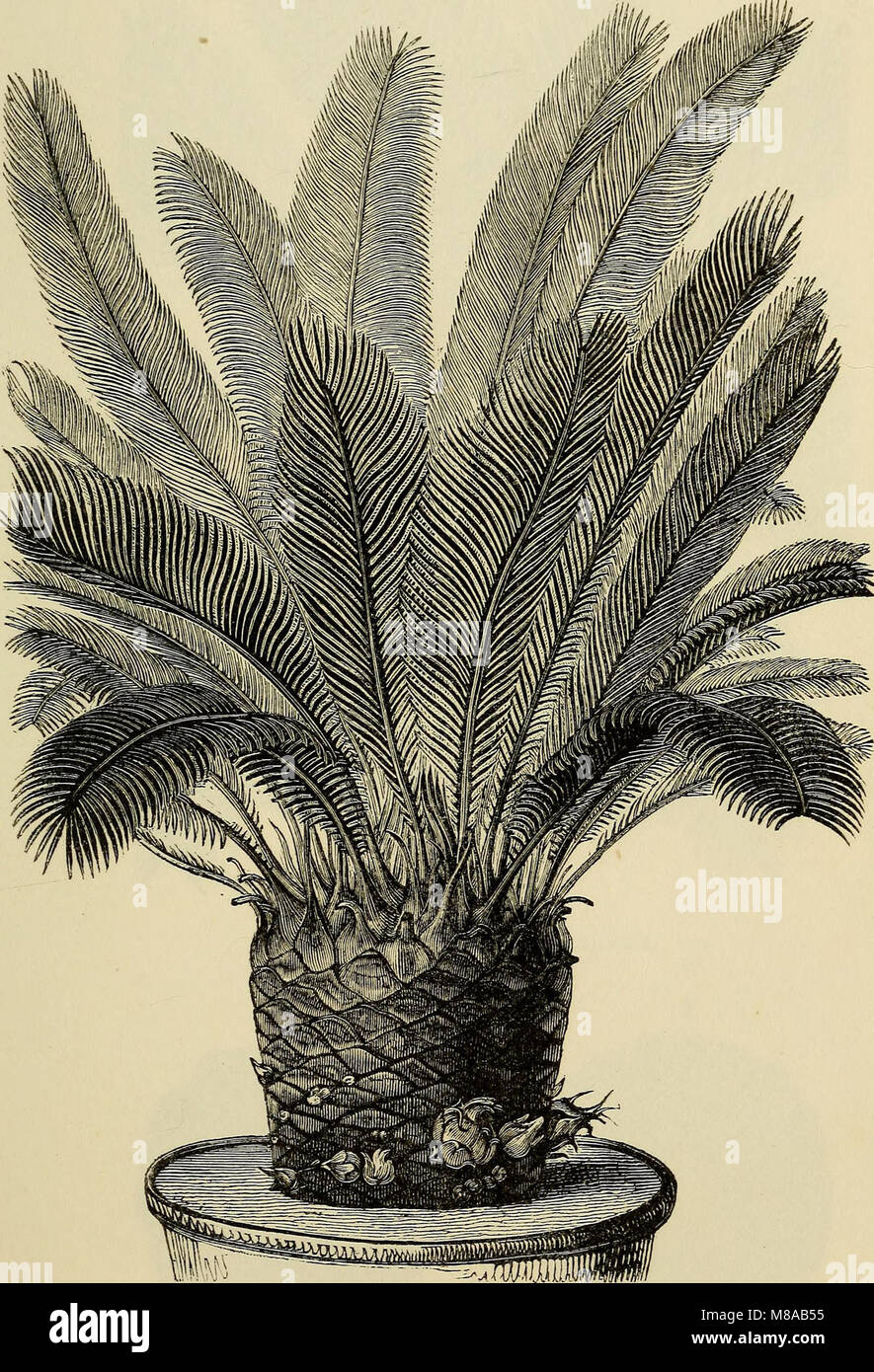 Work examines geology mineralogy hi-res stock photography and images ...