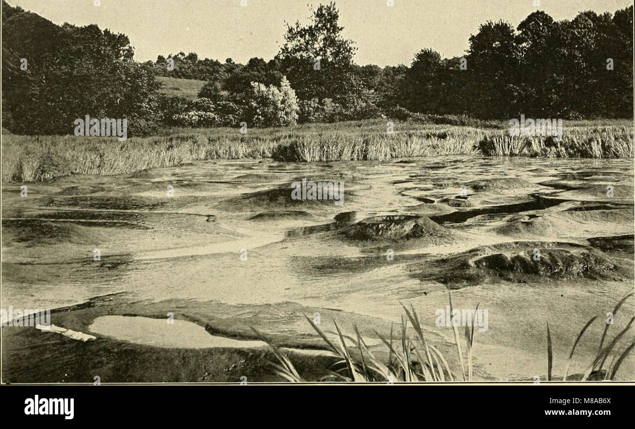 Geology and underground water resources of northern Louisiana (1906 ...