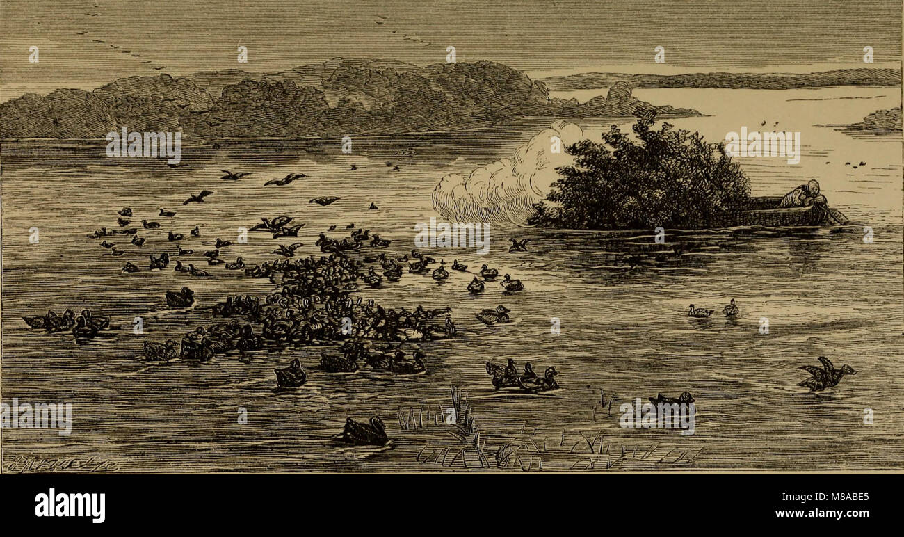 George Stanley (1864) was an artist and illustrator known for his works ...