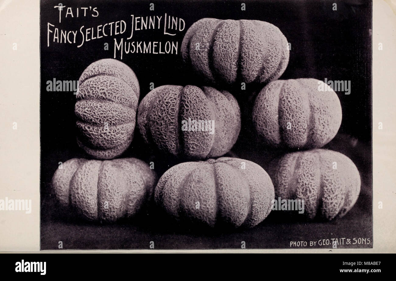 *George Tait and Sons' Price List and Descriptive Catalogue of Field ...