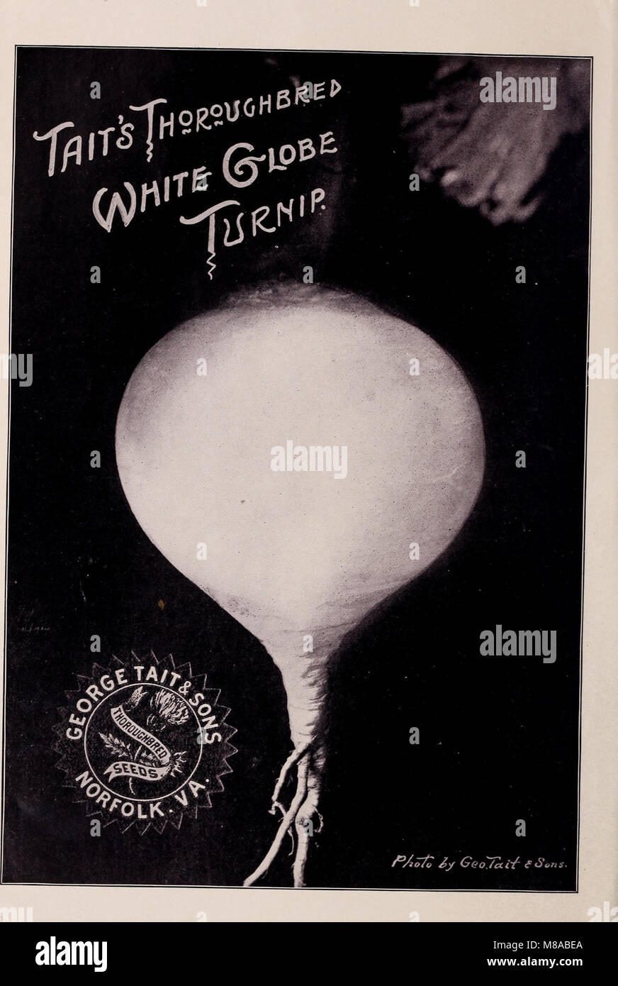 George Tait and Sons' price list and descriptive catalogue of field and ...