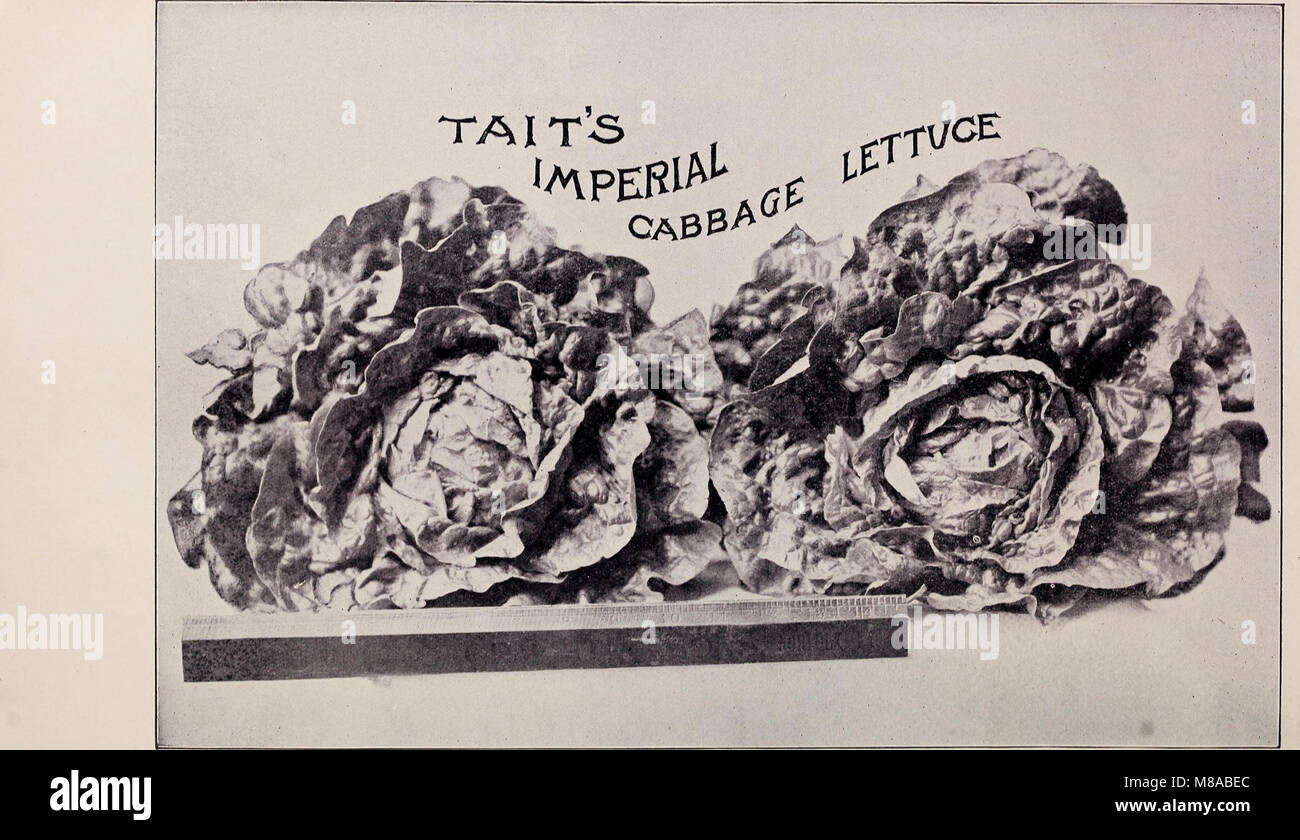 George tait hi-res stock photography and images - Alamy