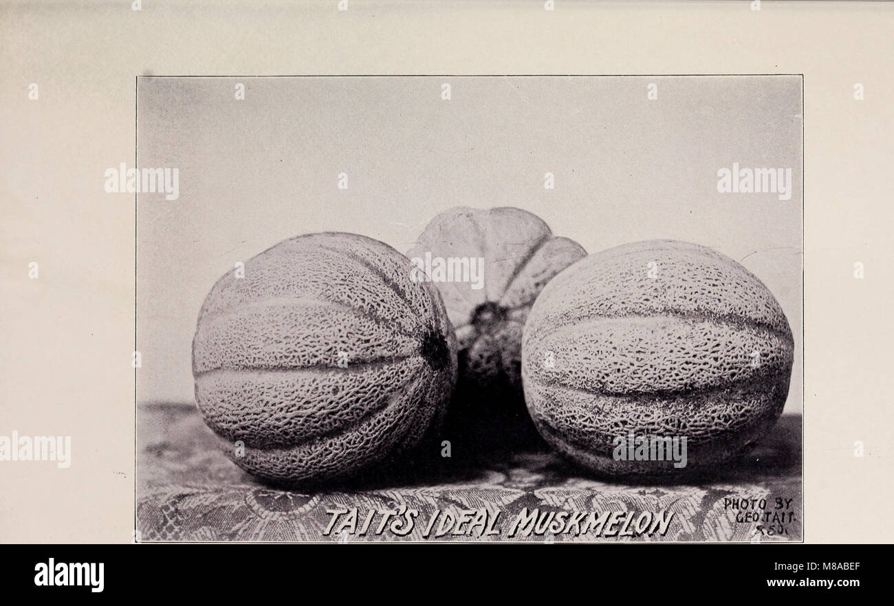 George Tait and Sons' price list and descriptive catalogue of field and ...