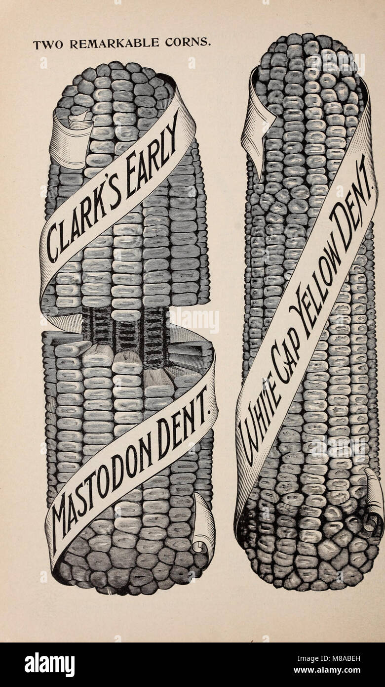 George tait hi-res stock photography and images - Alamy