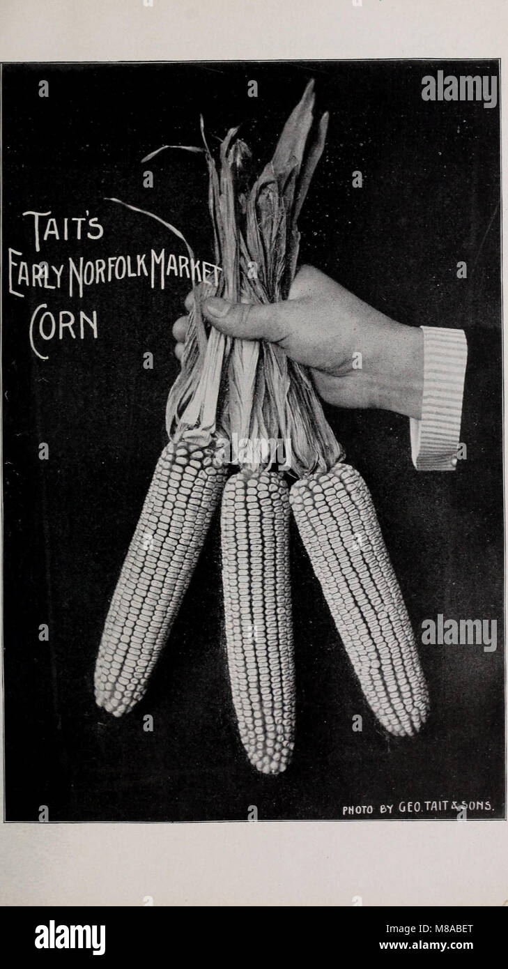 George Tait and Sons' price list and descriptive catalogue of field and ...