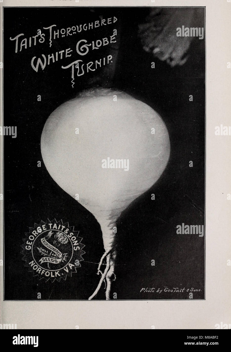 The 1902 catalog from George Tait and Sons offers a comprehensive list ...