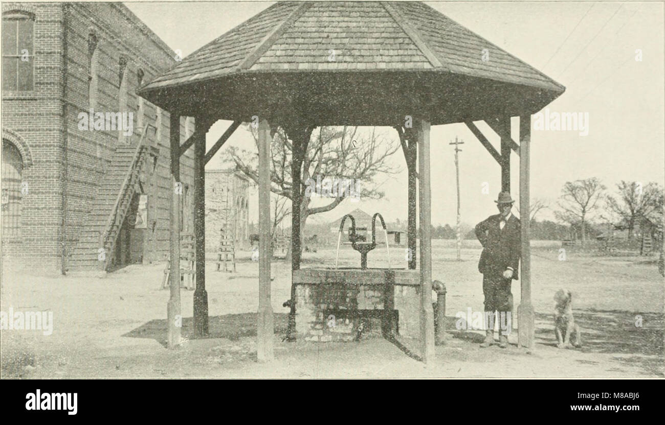 This 1901 work examines the historical and industrial development of ...