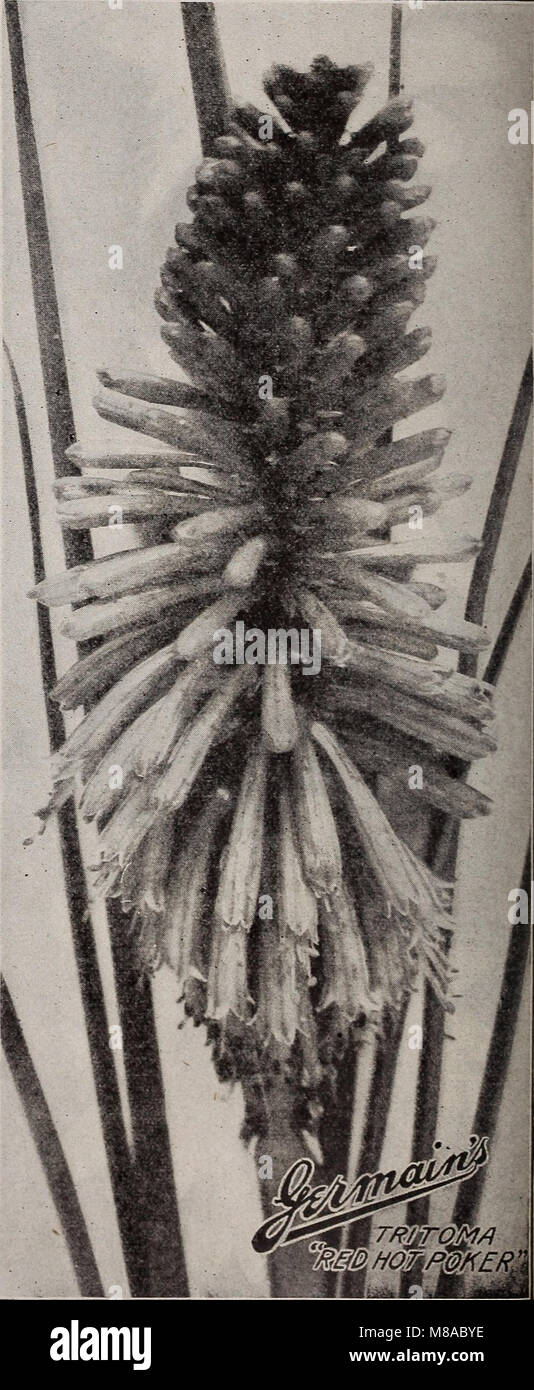 The 1922 'Germain' catalog showcases a variety of products, offering an ...