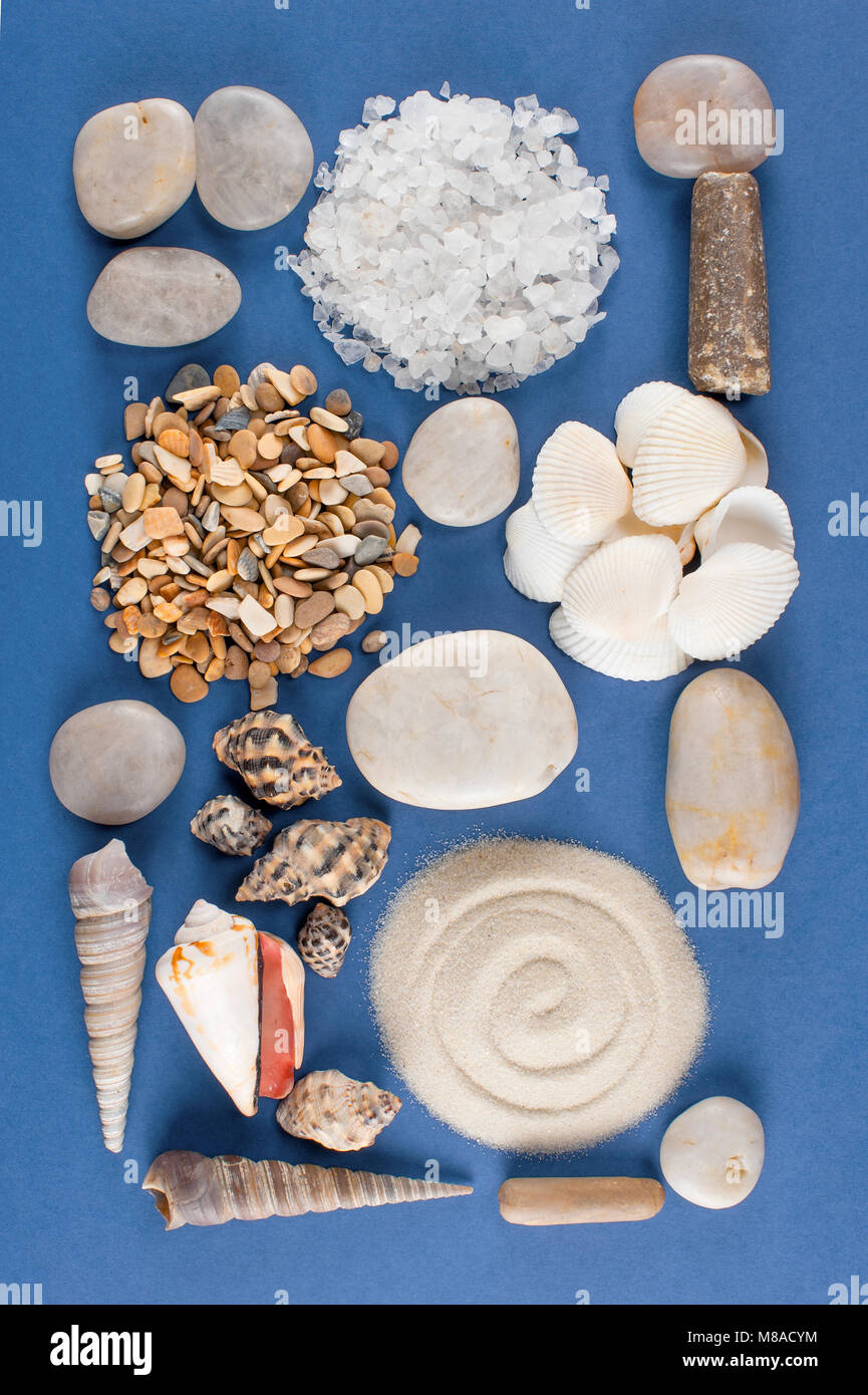 Abstract geometric pattern of various sea shells, sand and stones on ...