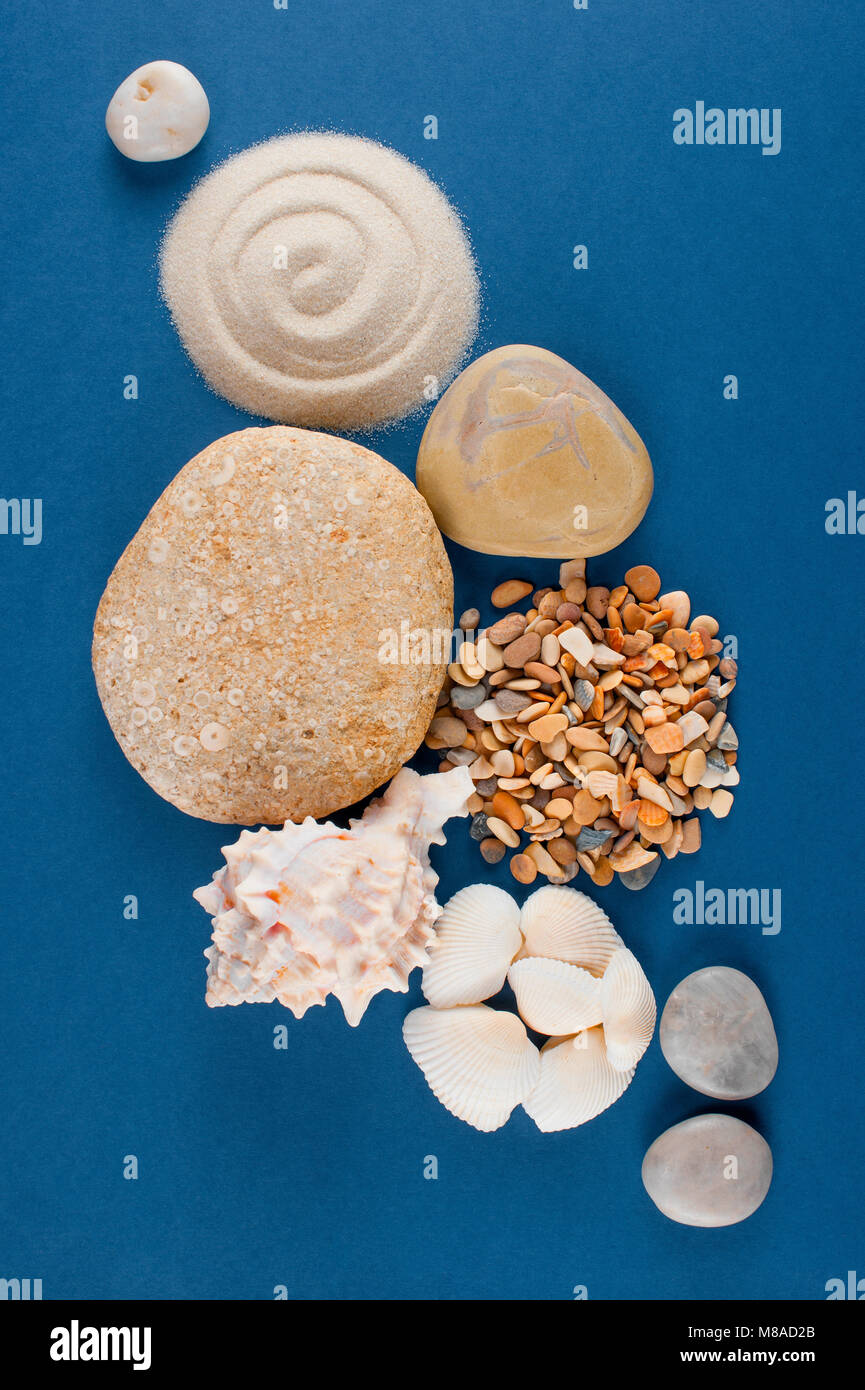 Abstract composition of various sea shells, sand and stones on the blue ...