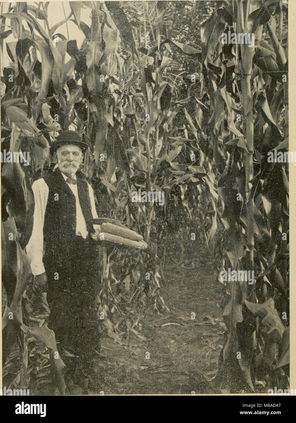 *Gleanings in Bee Culture* (1907) is a publication dedicated to the ...
