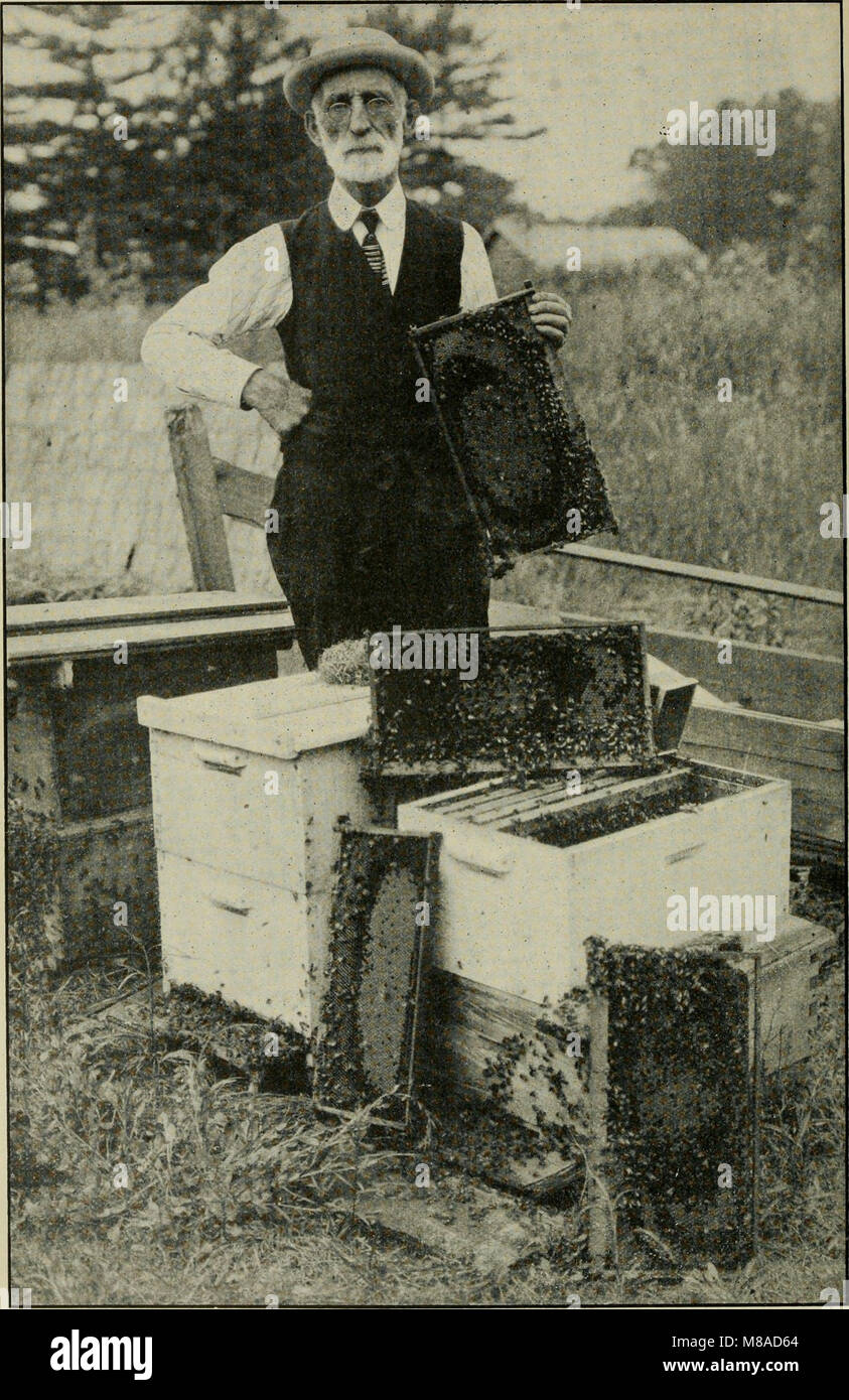 *Gleanings in Bee Culture* (1912) is a detailed exploration of ...