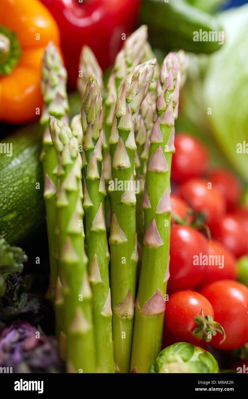 Group of various vegetables in closeup, studio shot Stock Photo - Alamy