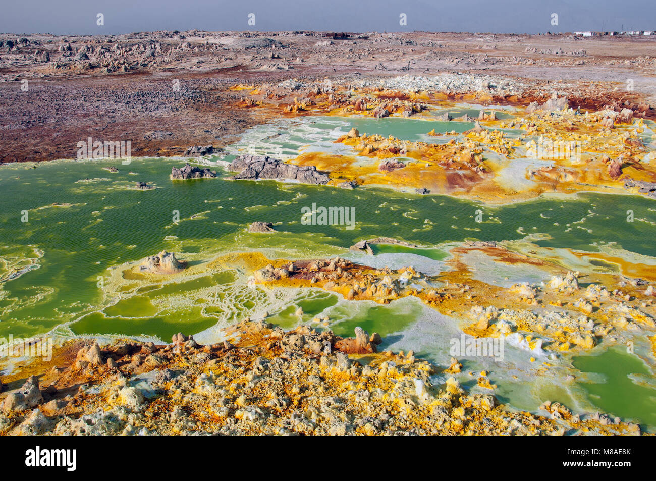 Huge green field with yellow spots of lava sulfuric volcanoes among the ...