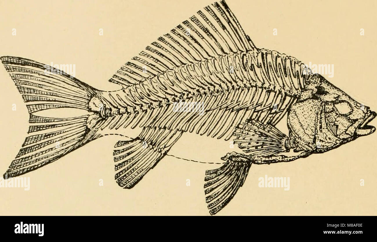 This guide provides detailed information on the care, propagation, and ...