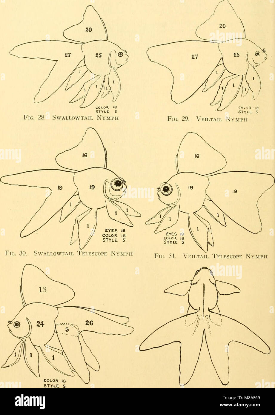 Goldfish varieties and tropical aquarium fishes; a complete guide to ...