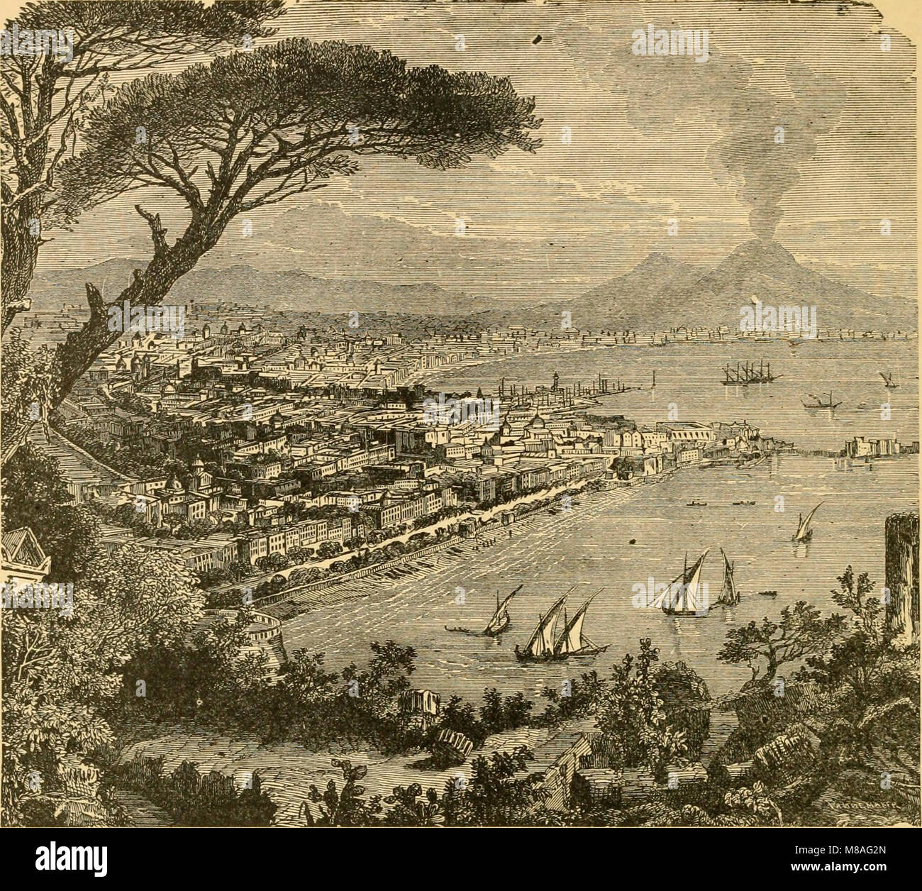 'Grandest Century in the World's History' provides a historical ...