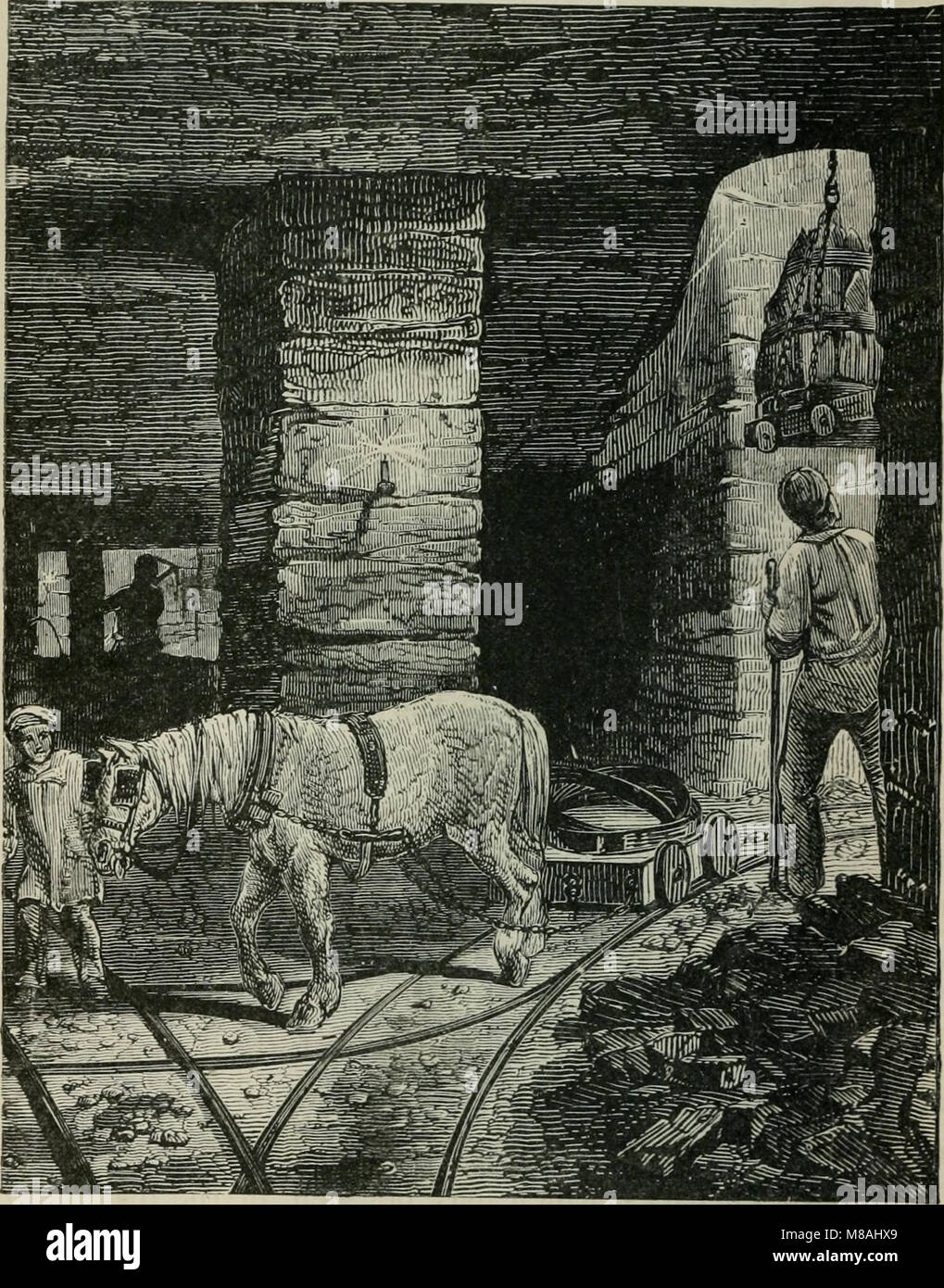Griffiths' Guide to the iron trade of Great Britain an elaborate review ...