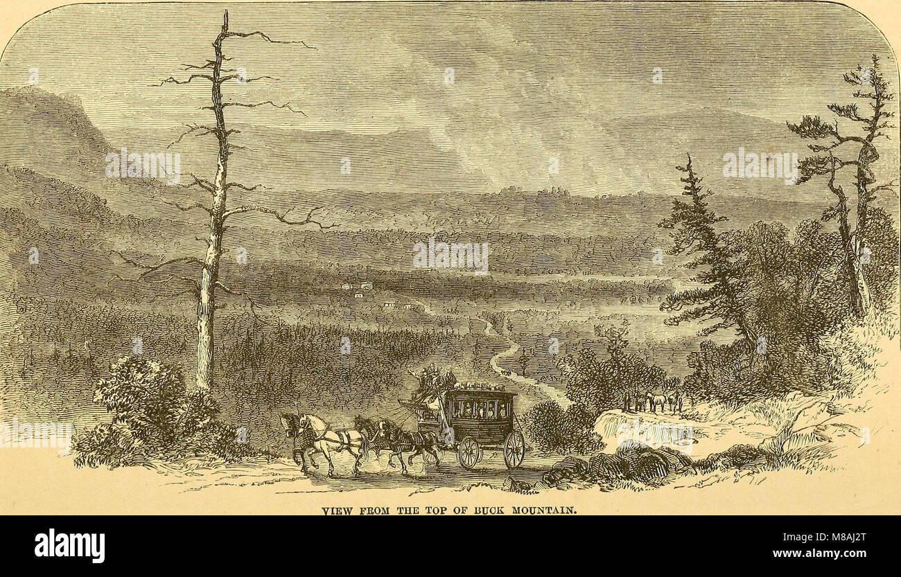 This 1864 guidebook details the Central Railroad of New Jersey and its ...