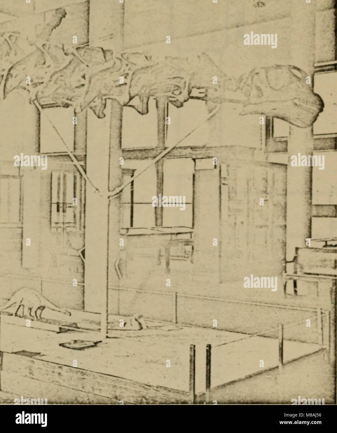 This 1901 guide leaflet provides concise information on a specific ...