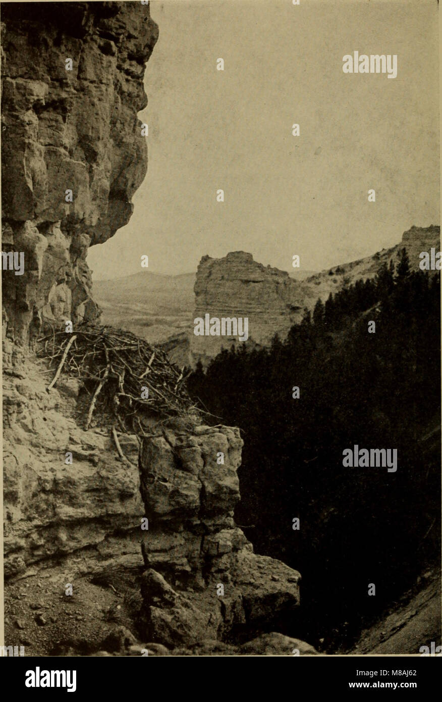 Easy read leaflet hi-res stock photography and images - Alamy