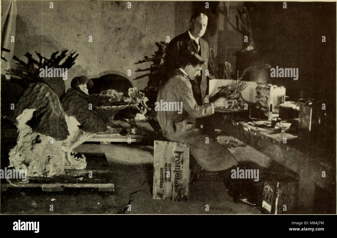 This 1901 guide leaflet provides practical information for visitors ...