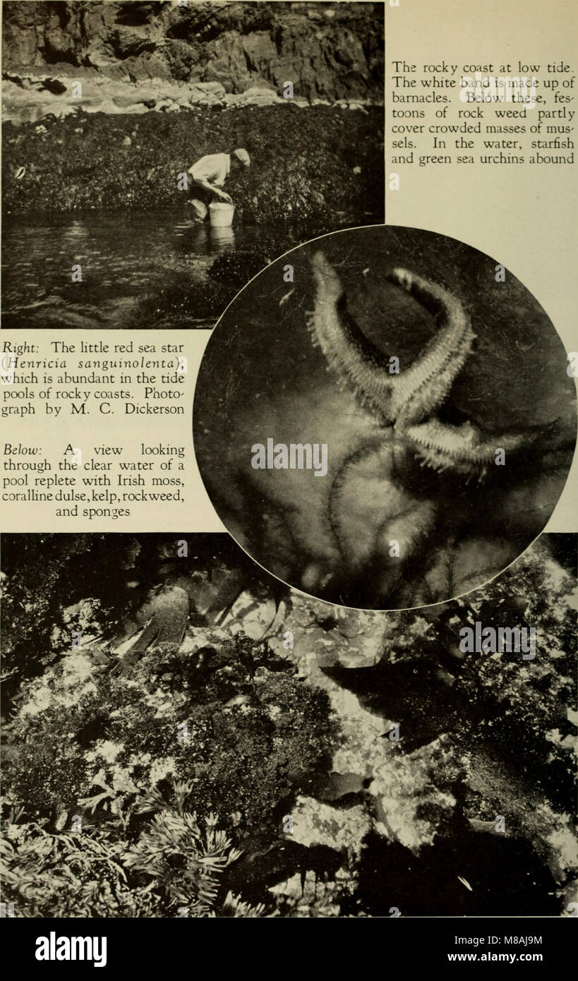 Procedural guide hi-res stock photography and images - Alamy