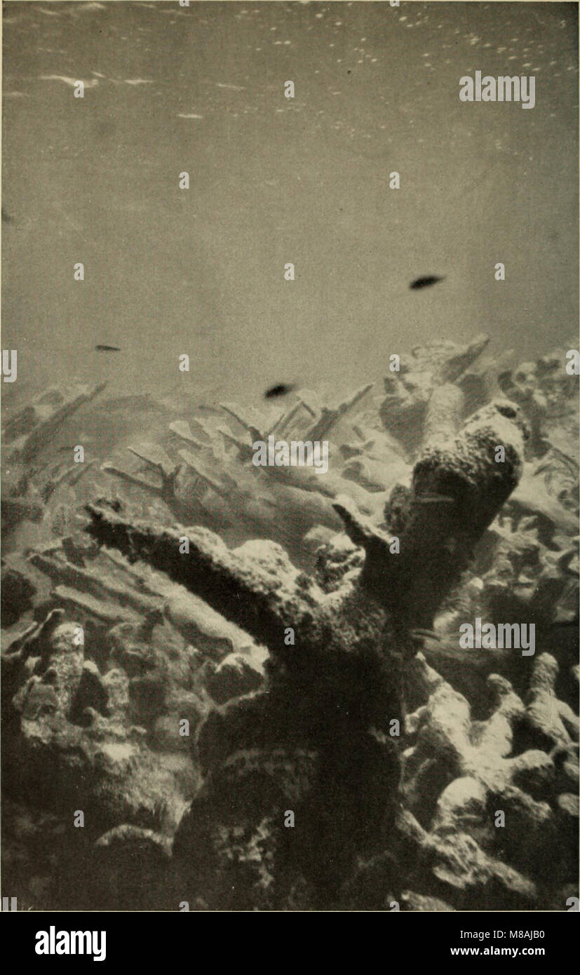 A guide leaflet from 1901 providing instructions and information on a ...