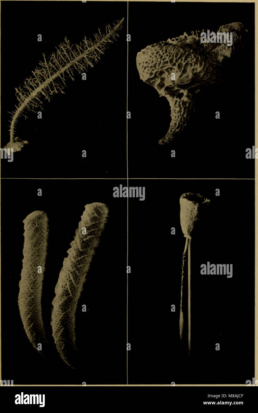 Guide leaflet history hi-res stock photography and images - Alamy