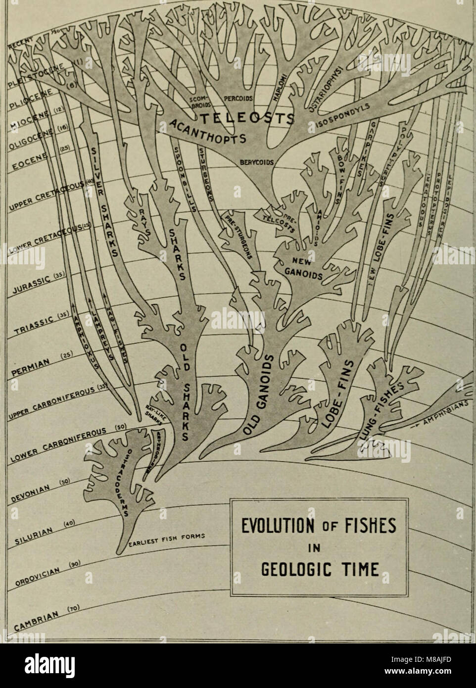 Instruction leaflets hi-res stock photography and images - Alamy