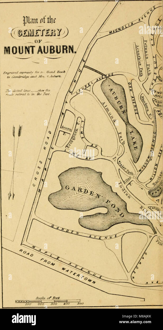 'Guide Through Mount Auburn' (1865) offers a comprehensive guide to ...