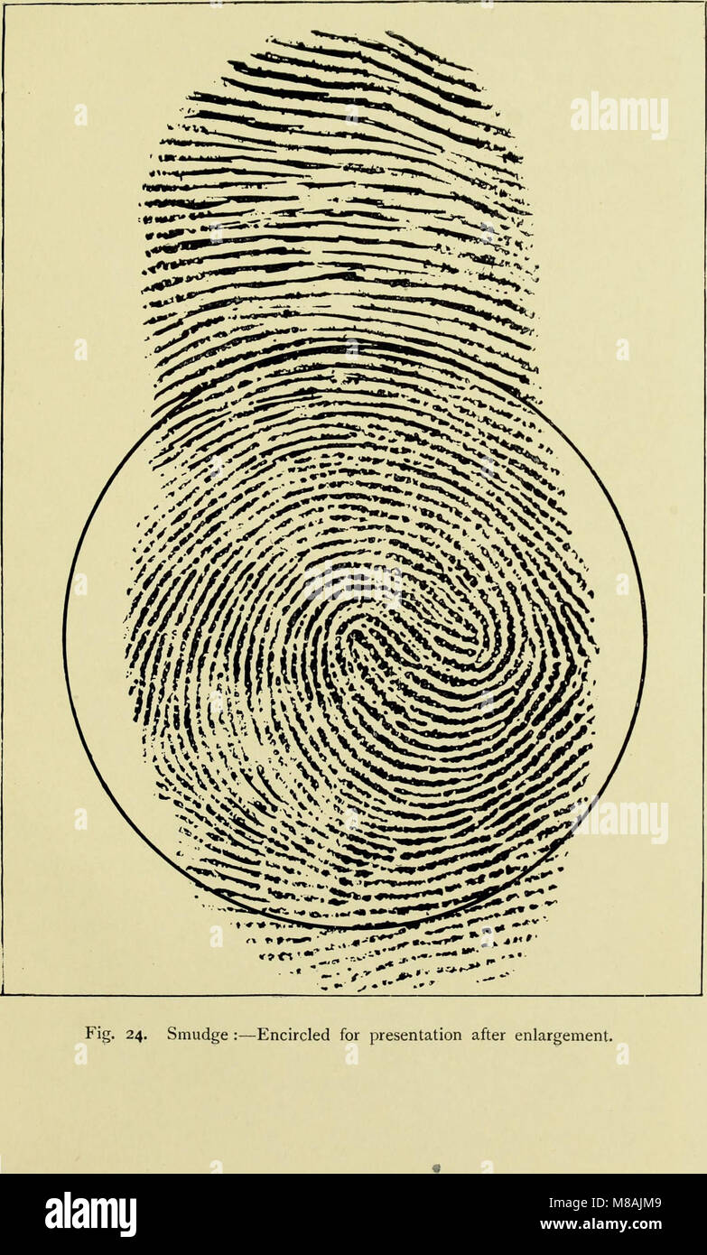 The 'Guide to Fingerprint Identification' (1905) provides a systematic ...