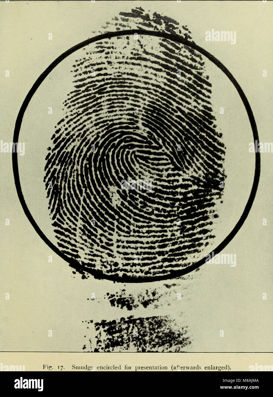'Guide to Finger-Print Identification' (1905) is a resource detailing ...