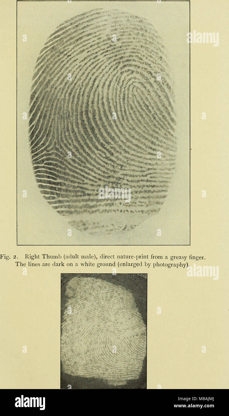 Forensics fingerprints hi-res stock photography and images - Alamy