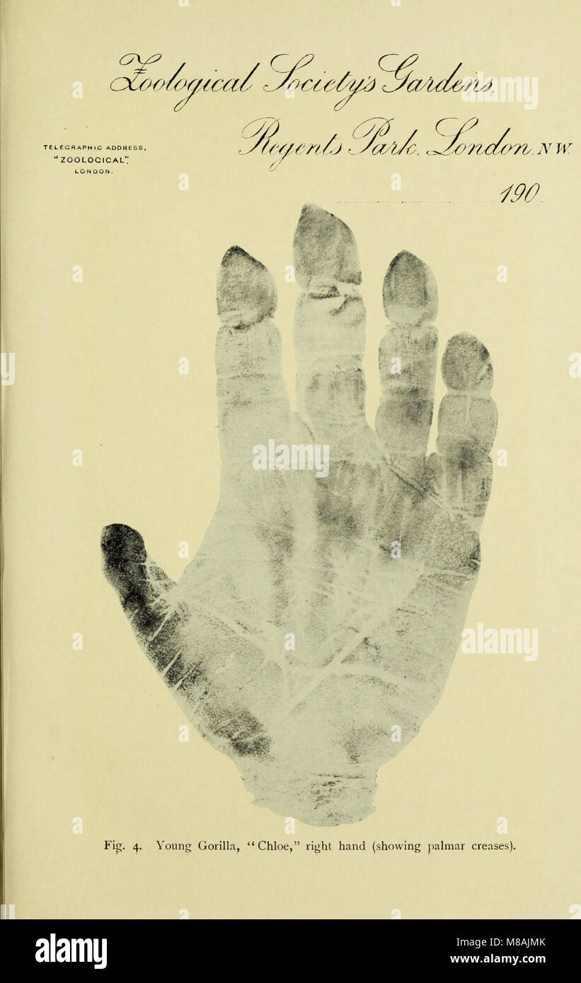 *Guide to Finger-Print Identification* (1905) offers methods and ...