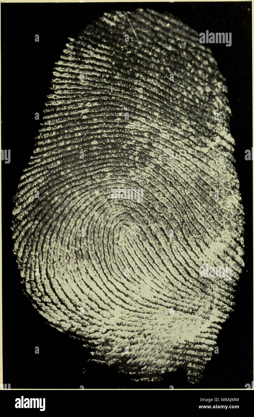 This 1905 guide to fingerprint identification outlines the methods and ...
