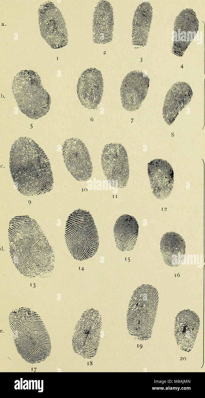 Guide to finger-print identification (electronic resource) (1905 ...